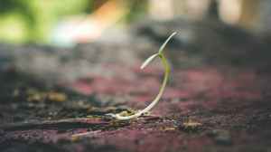 Shift Your Focus – Unbound Light